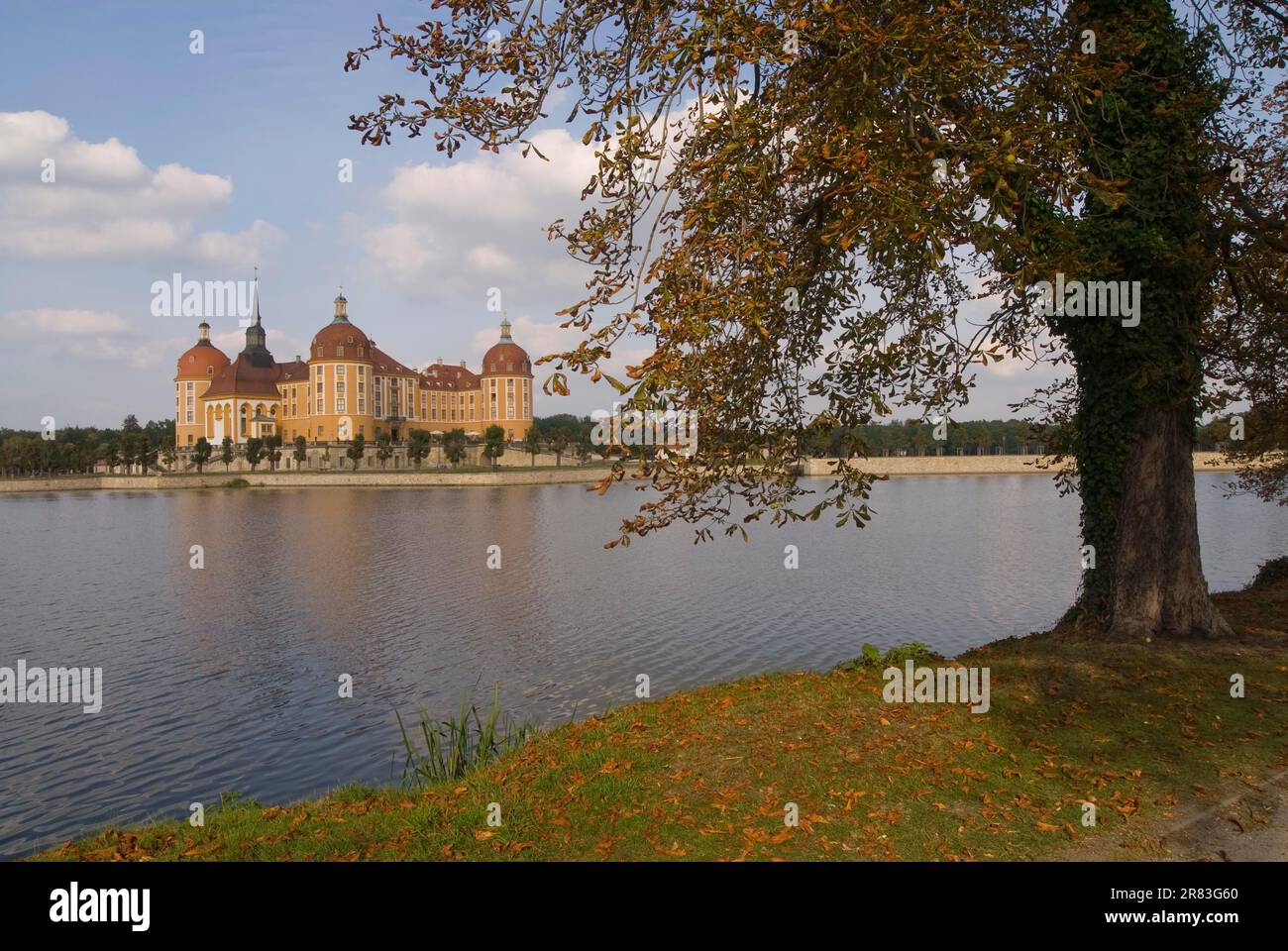 Moritzburg Baroque Palace Stock Photo - Alamy
