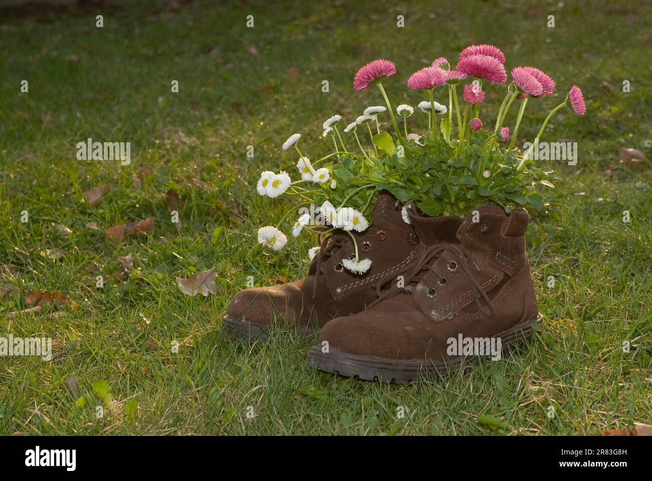 Hiking boots planted Stock Photo - Alamy