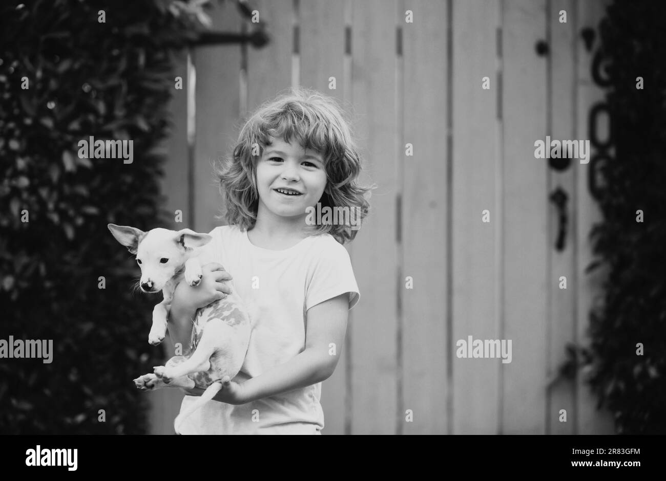 Kid boy feels delighted, carries little puppy dog, expresses tender ...