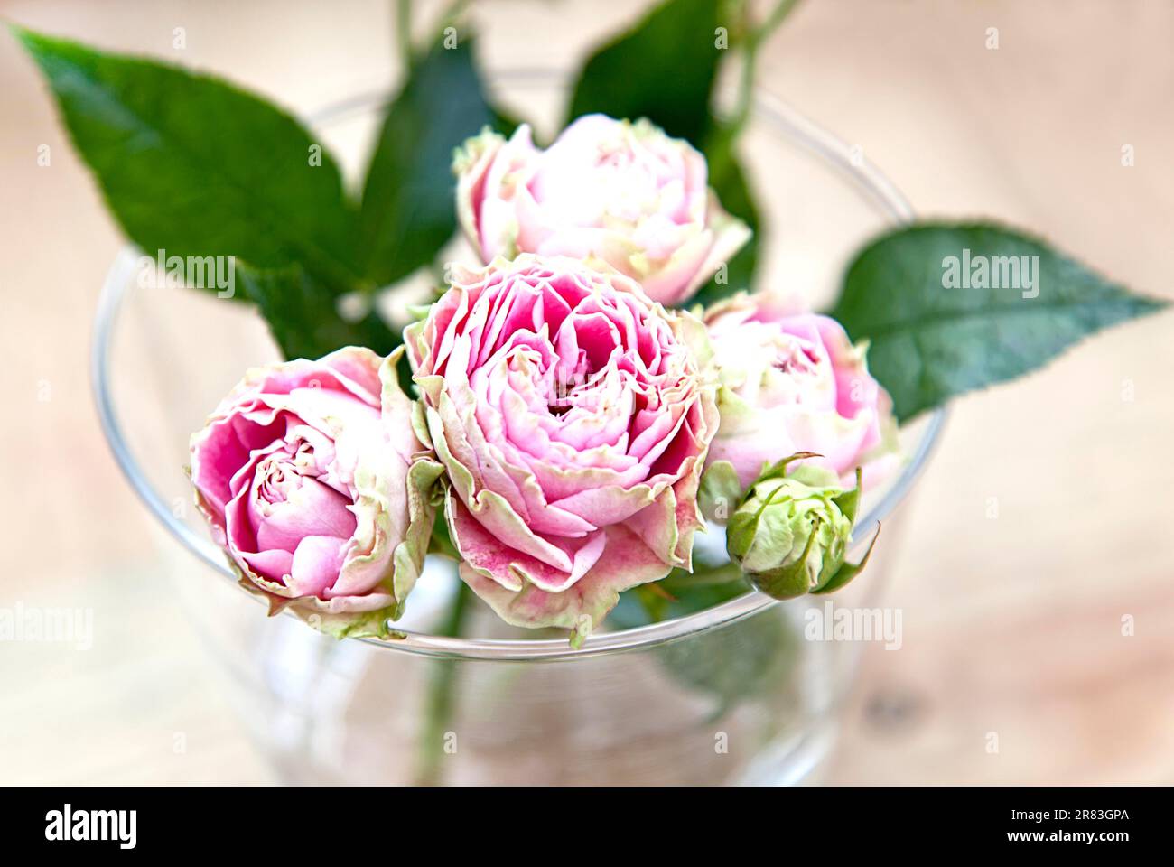 Container arrangements hi-res stock photography and images - Alamy