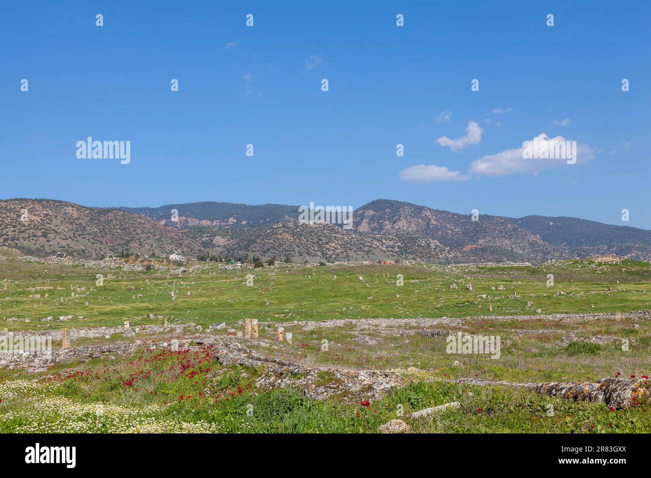 Ancient site-ruin field Hierapolis Stock Photo - Alamy