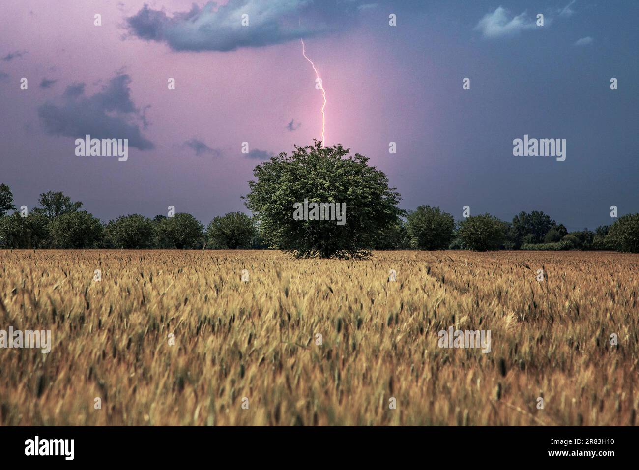 Clear cloud cloudscape color crop hi-res stock photography and images ...