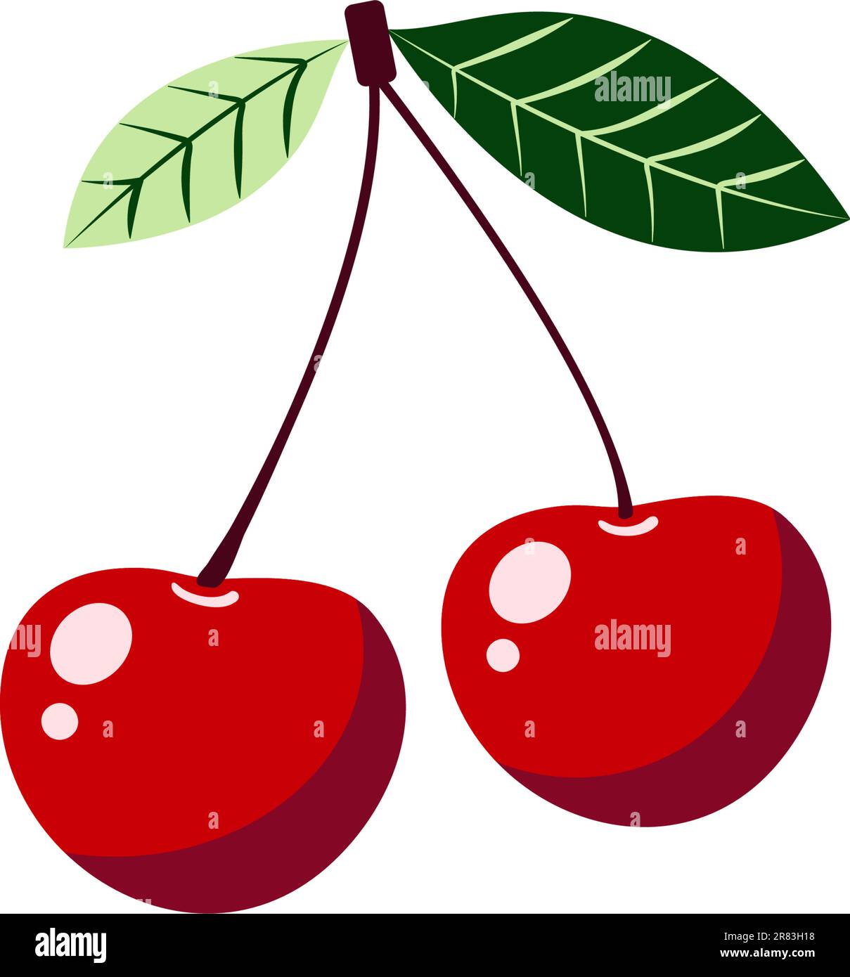 Vector cherry illustration. Isolated on a white background. Cartoon ...