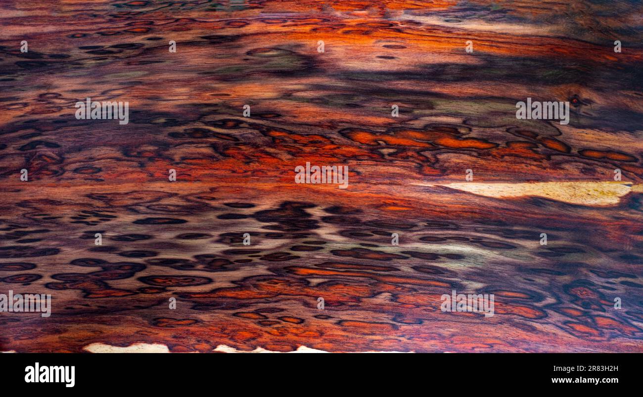 Siam Rosewood texture natural pattern wood surface Stock Photo - Alamy