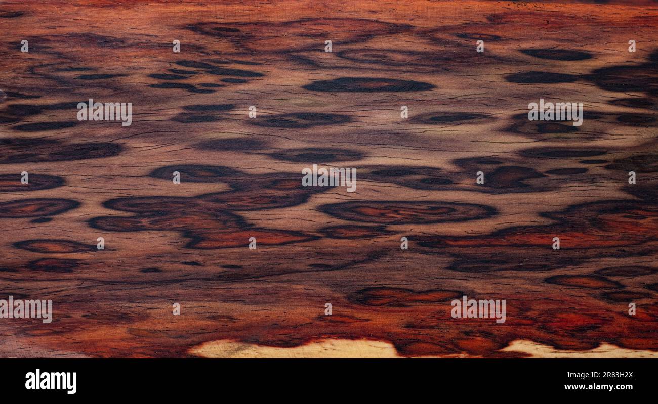 Siam Rosewood texture natural pattern wood surface Stock Photo - Alamy
