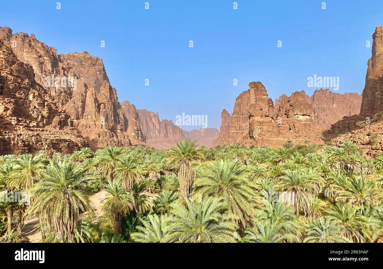 A stunning view of the Wadi Al Disah oasis in the Tabuk Province of ...