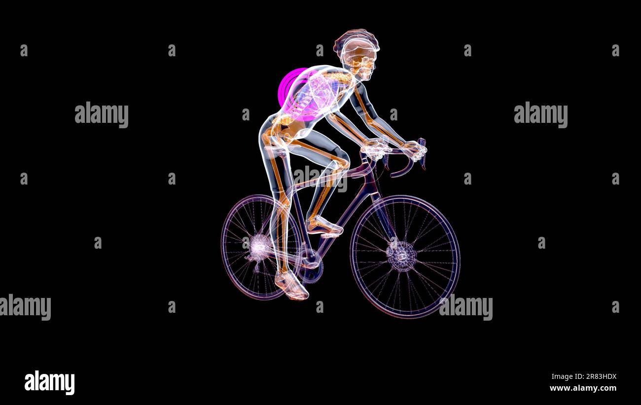 3D Illustration of an anatomy of a X-ray cyclist riding with abstract ...