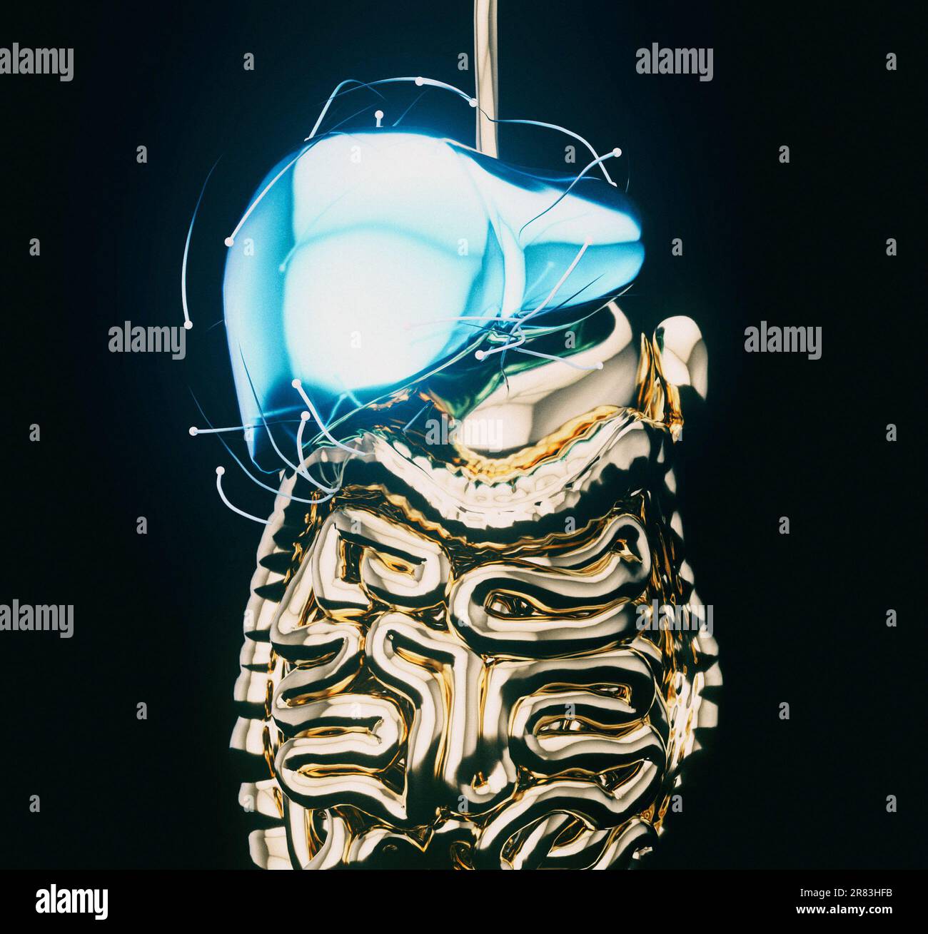 Abstract 3D view of the liver physiology Stock Photo - Alamy