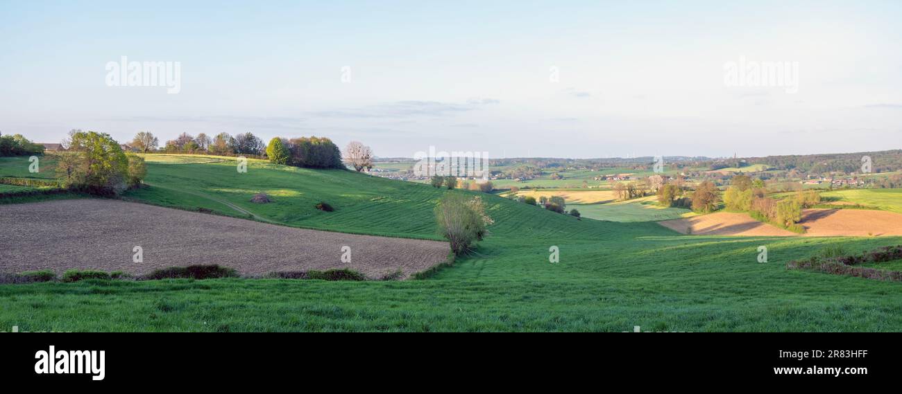 landscape of fields, meadows and forest near maastricht in dutch ...