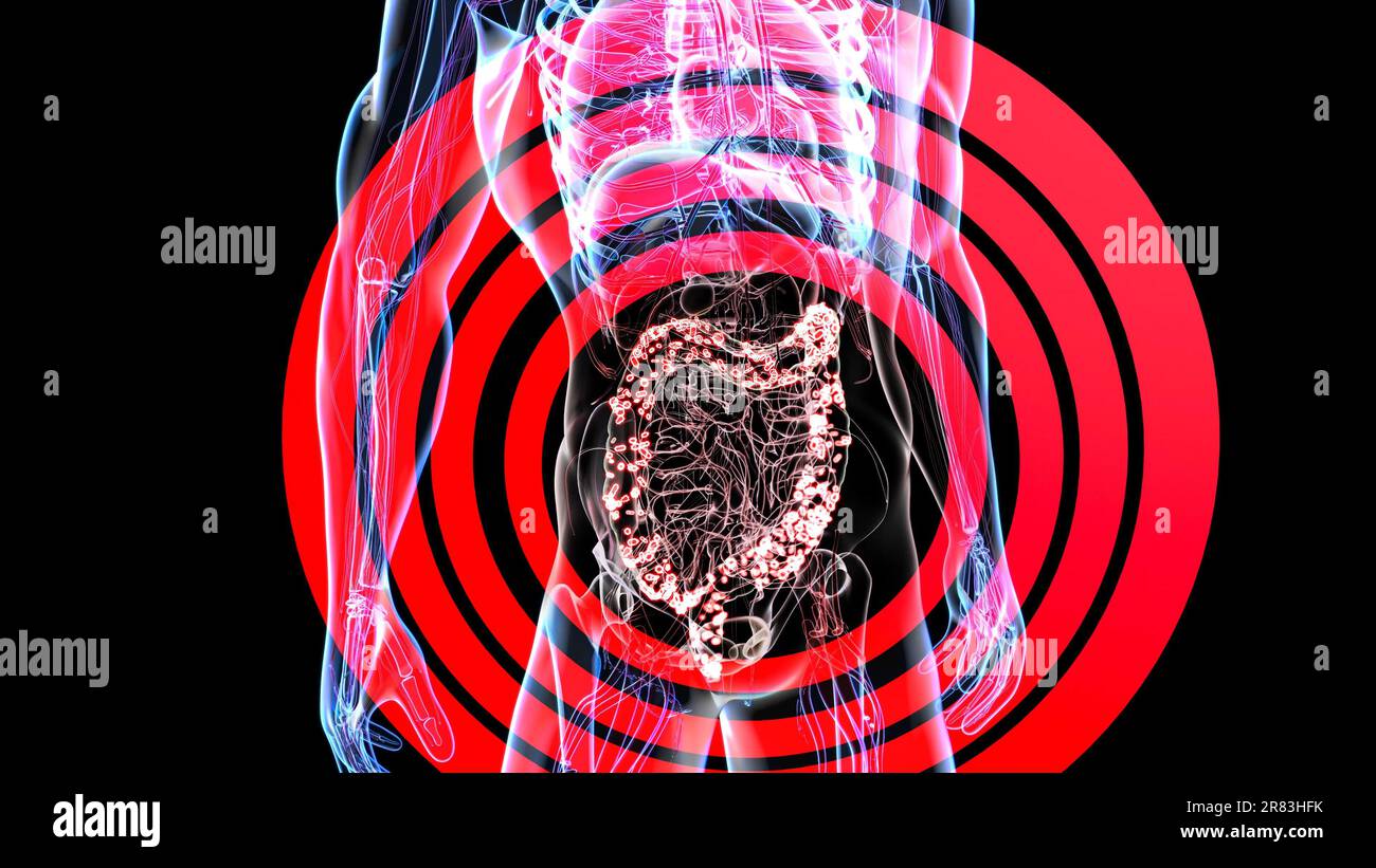 Abstract 3d anatomy view of the gut Stock Photo - Alamy