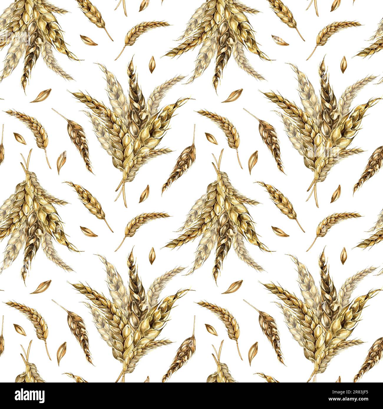 Wheat ear bunch watercolor seamless pattern isolated on white ...