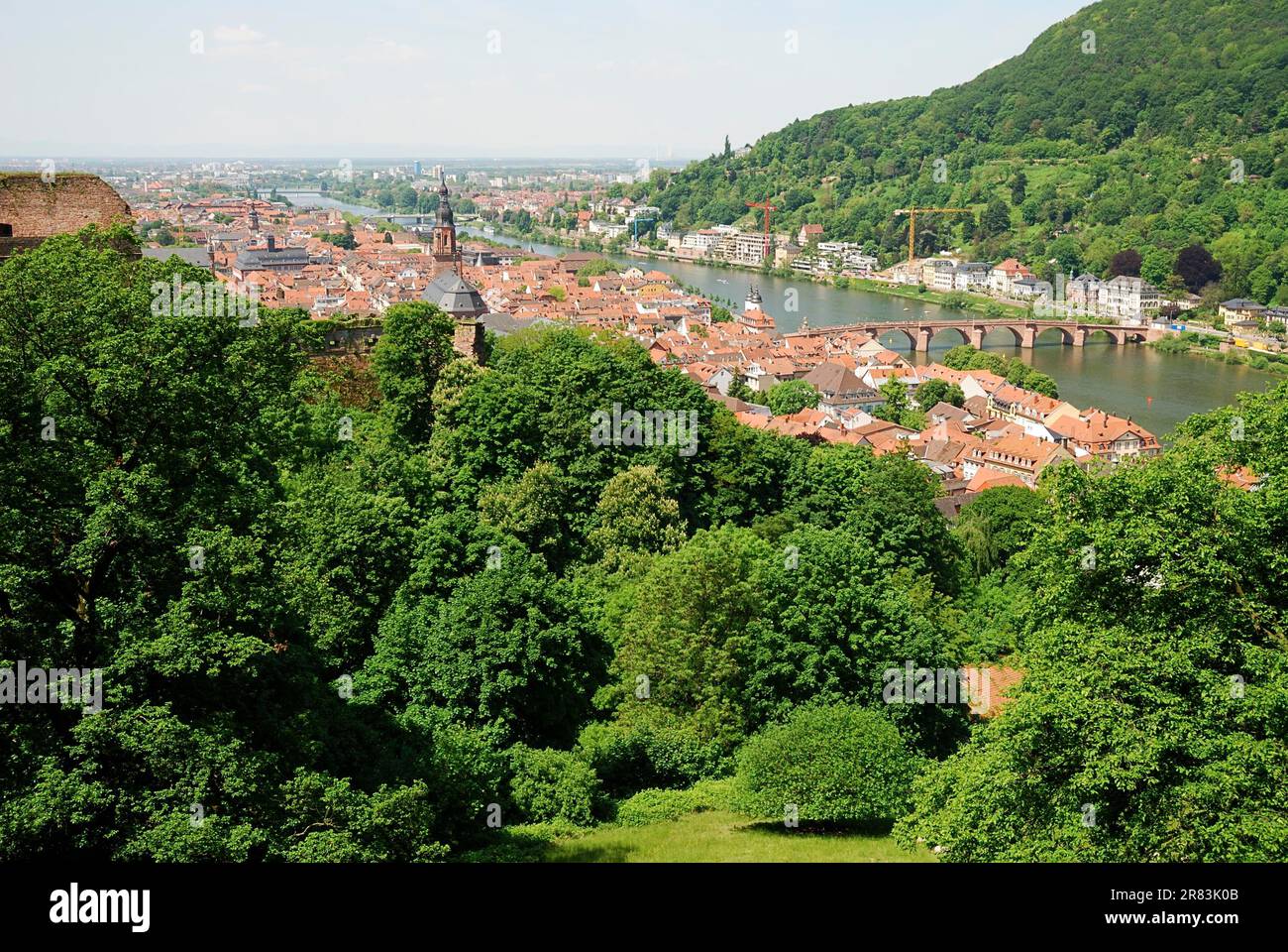 View over the famous city of Heidelberg Germany Stock Photo - Alamy