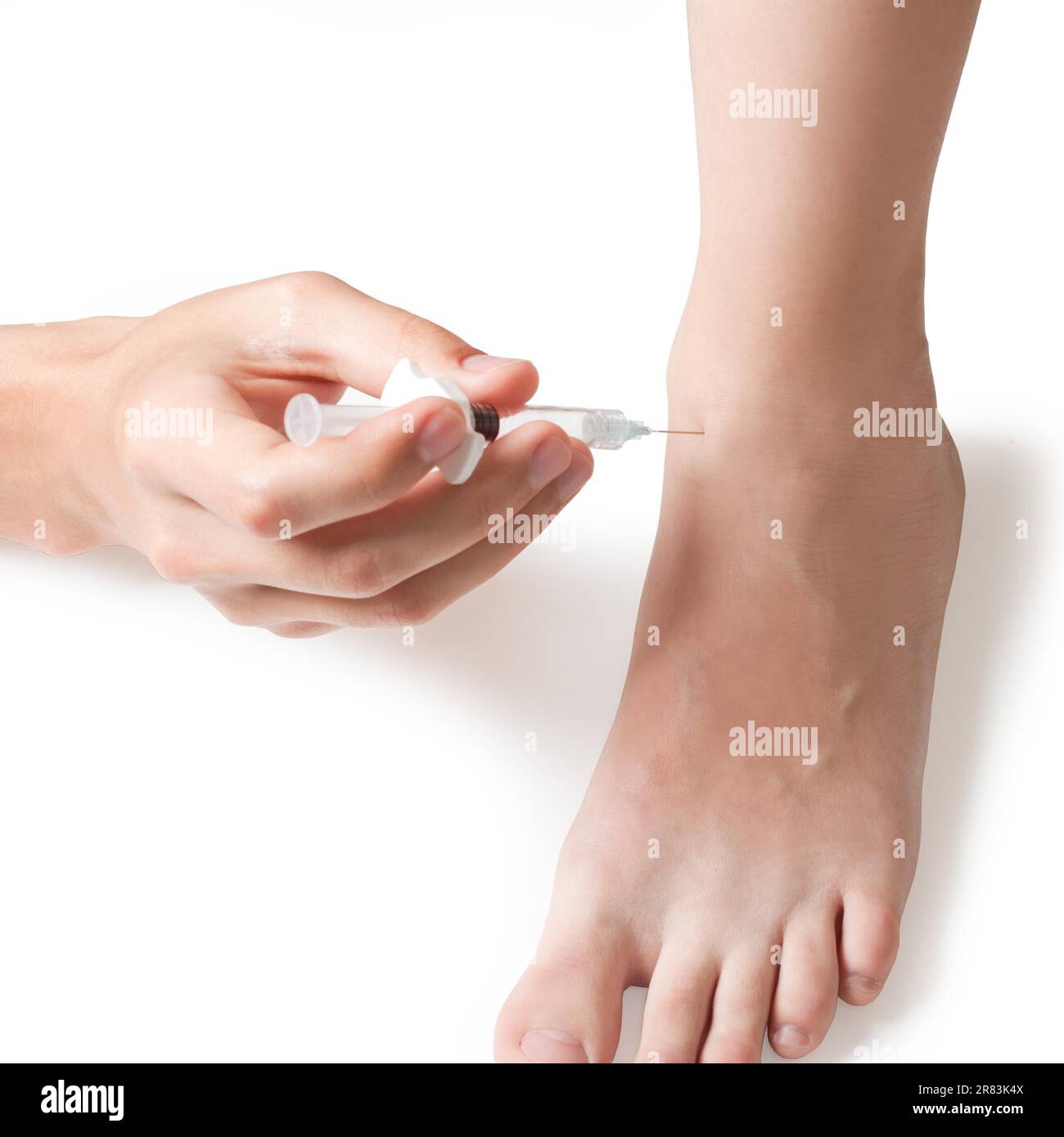 Articular cartilage hi-res stock photography and images - Alamy