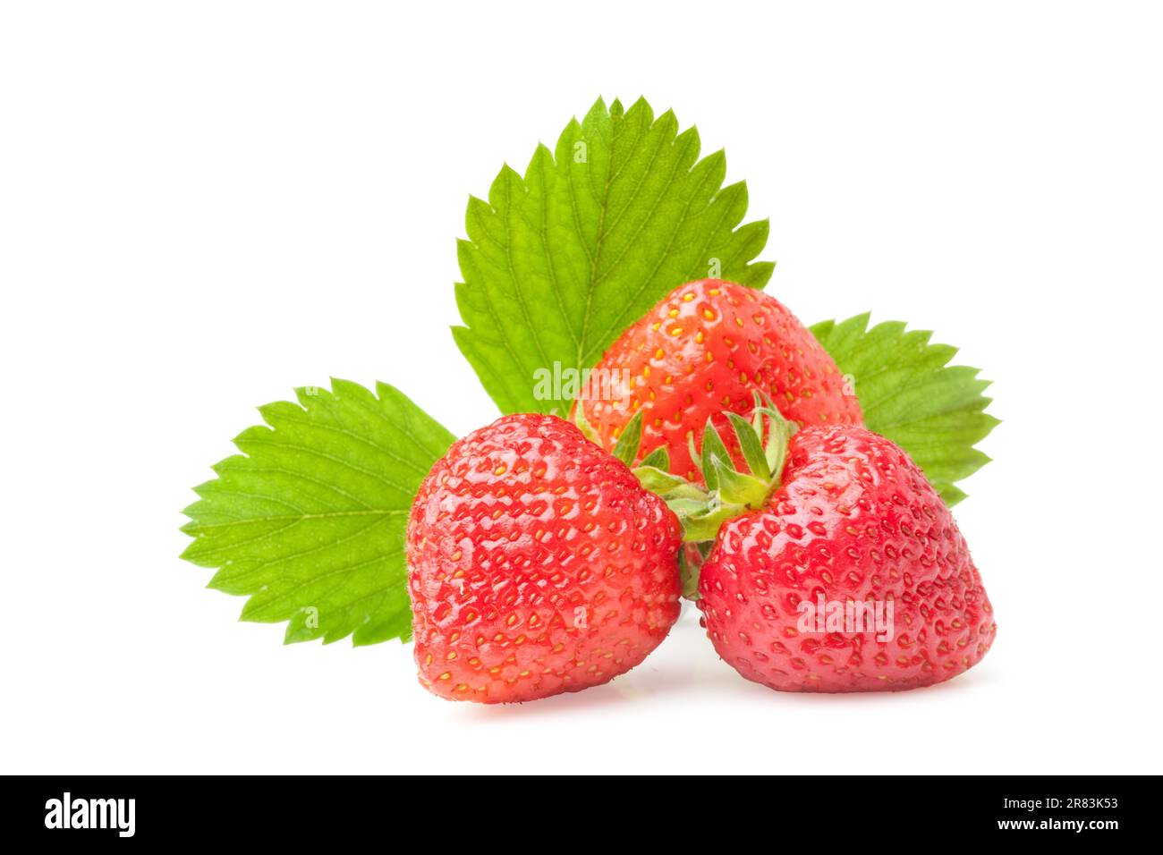 Fresh strawberry object on a white backgroundand with soft shadow. The ...