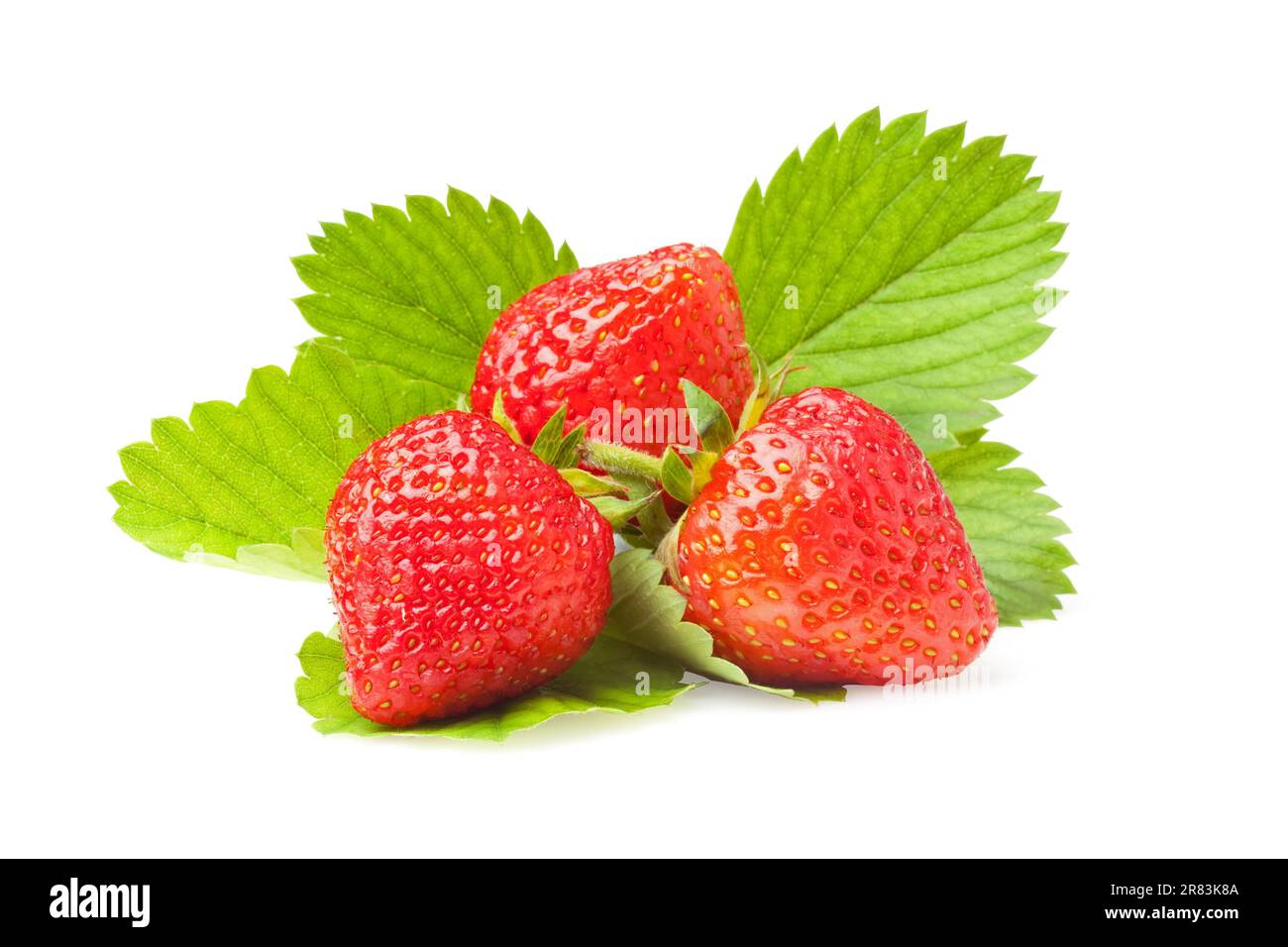 Fresh strawberry object on a white backgroundand with soft shadow. The ...