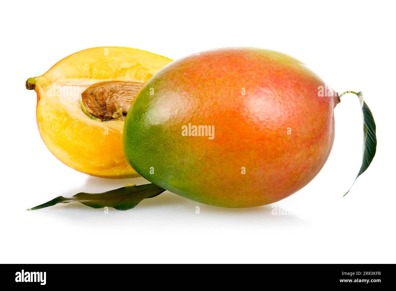 Ripe mango fruits with leaves isolated on white background Stock Photo ...