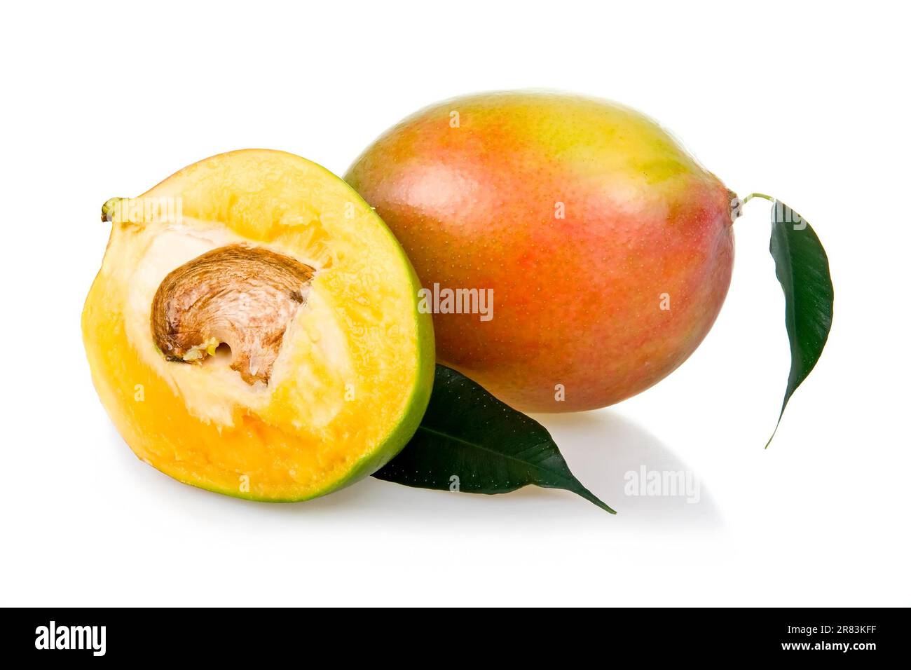 Ripe mango fruits with leaves isolated on white background Stock Photo ...