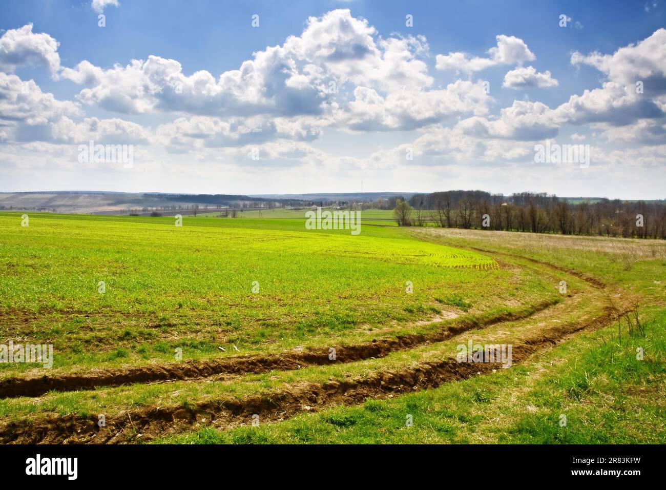 Spring on meadow landscape (meadow sky and trees Stock Photo - Alamy