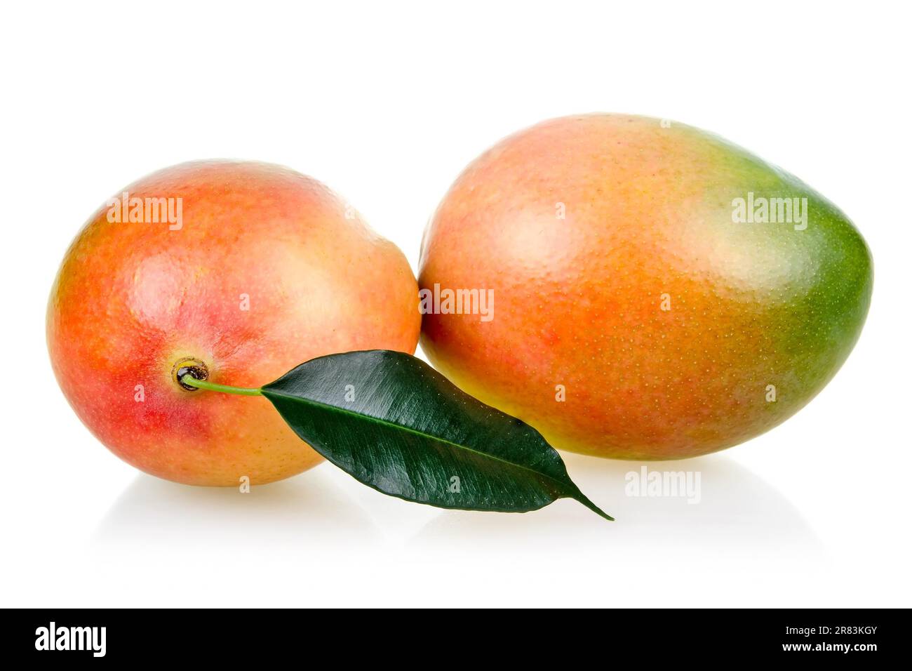 Ripe mango fruits with leaves isolated on white background Stock Photo ...