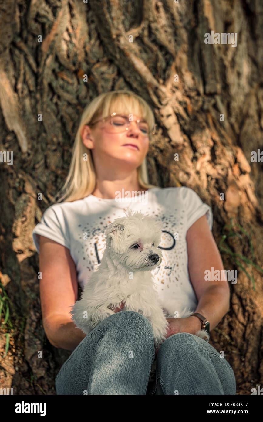 Woman with small dog is relaxing under a tree Stock Photo - Alamy