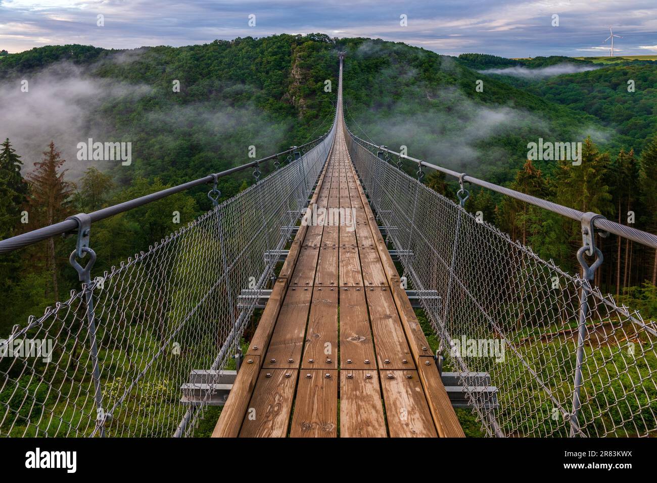 View of a suspension bridge in Germany, Geierlay Stock Photo - Alamy