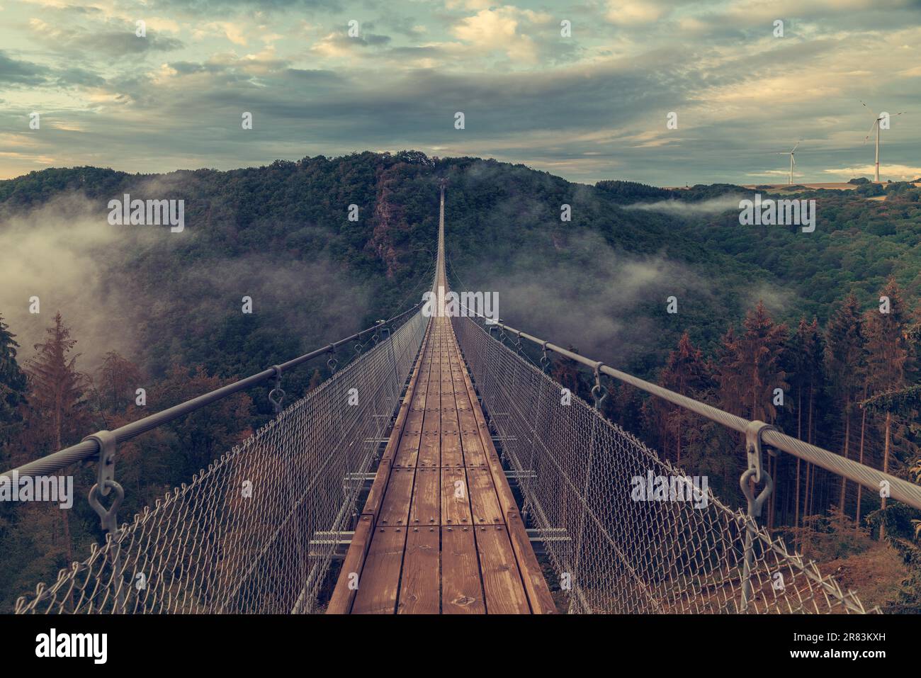 View of a suspension bridge in Germany, Geierlay Stock Photo - Alamy