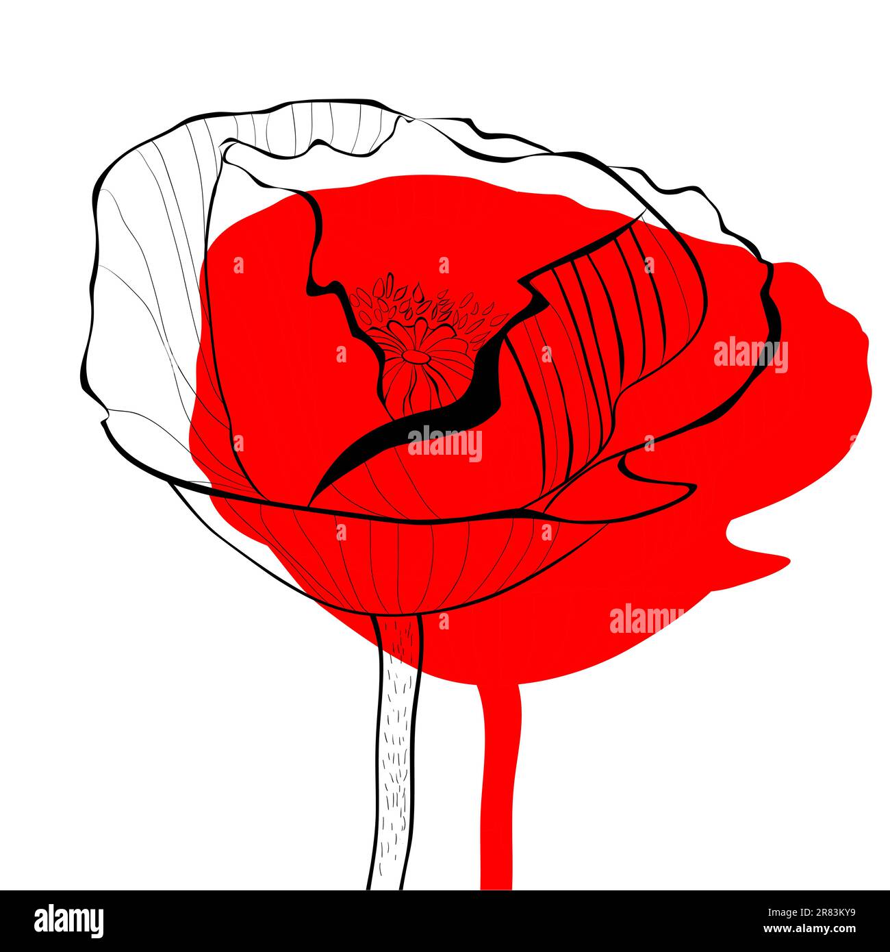 Illustration poppy Cut Out Stock Images & Pictures - Alamy