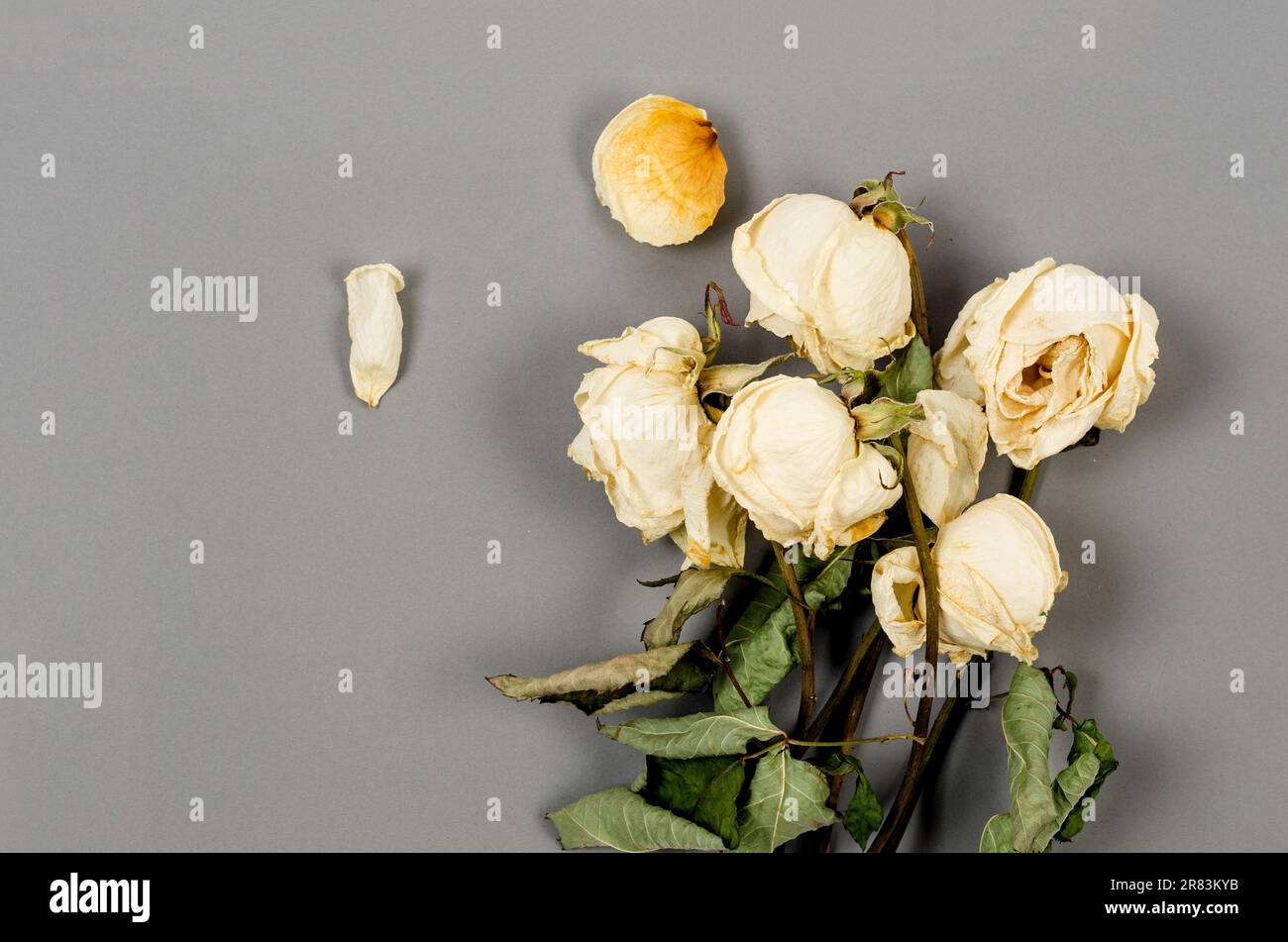 Vintage obituary hi-res stock photography and images - Alamy
