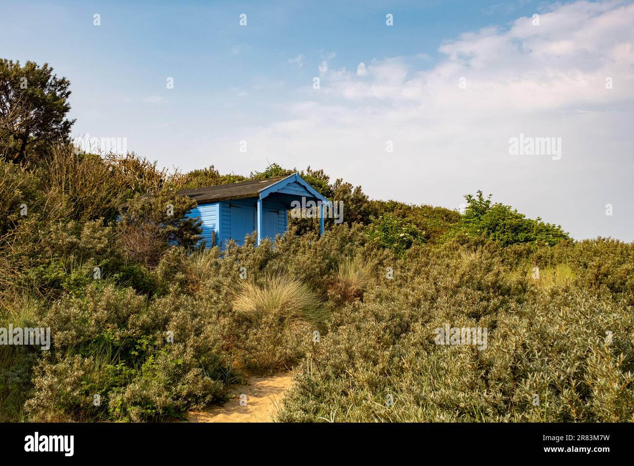 Blue wooden beach hut nestled in the sand dunes on Hunstanton South ...