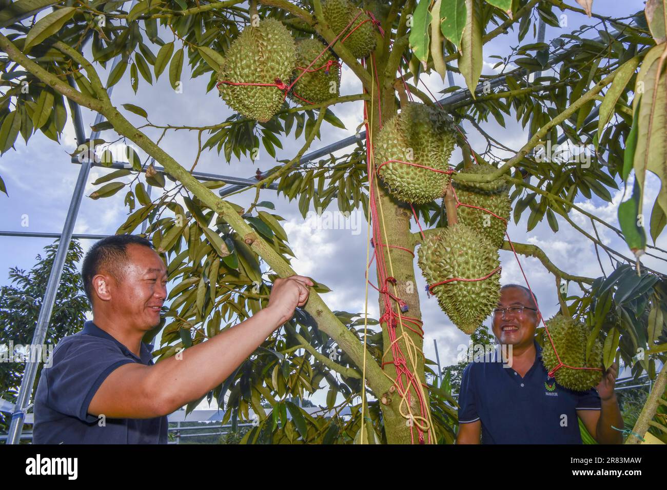 **CHINESE MAINLAND, HONG KONG, MACAU AND TAIWAN OUT** The first batch ...