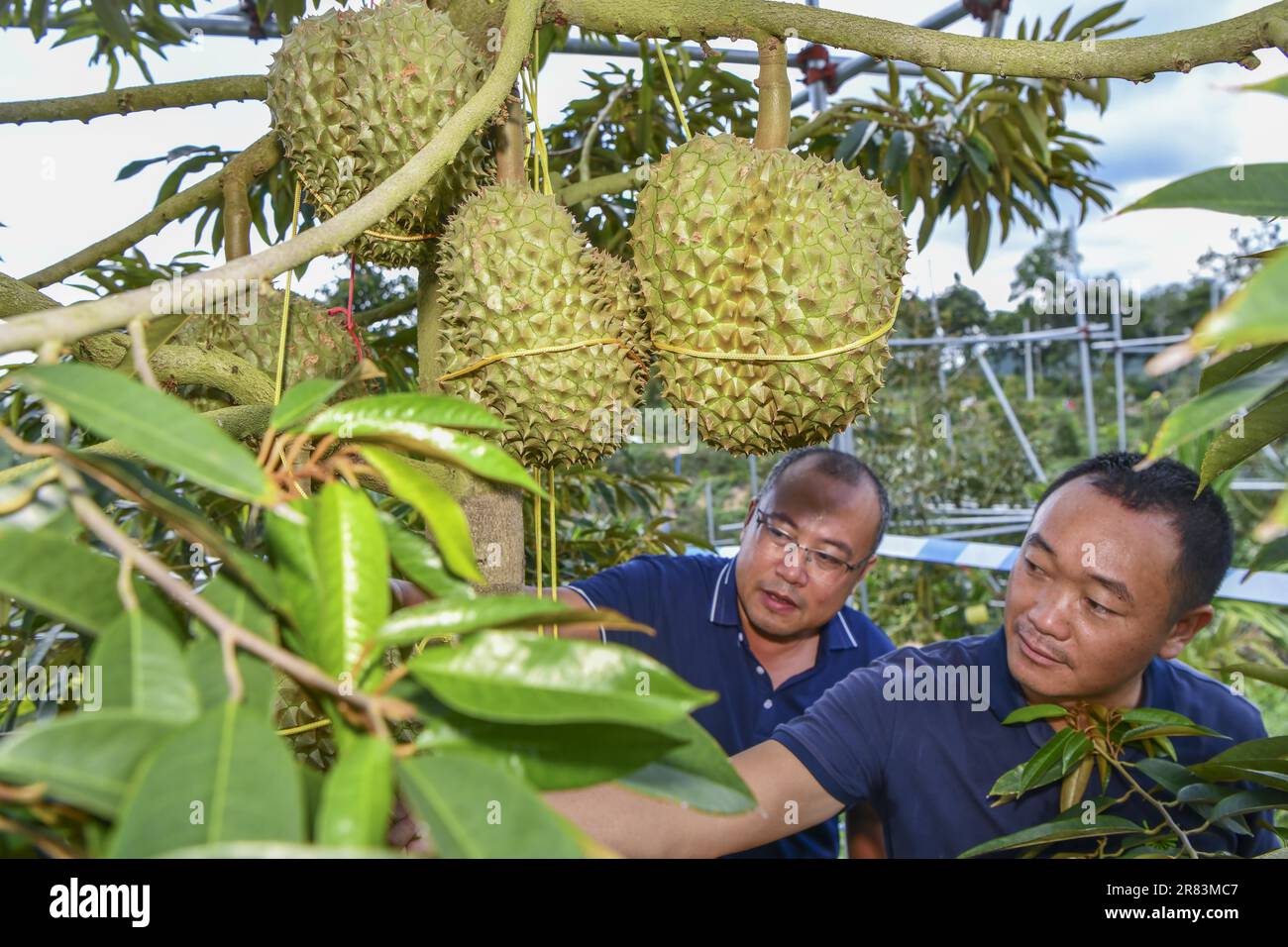 **CHINESE MAINLAND, HONG KONG, MACAU AND TAIWAN OUT** The first batch ...