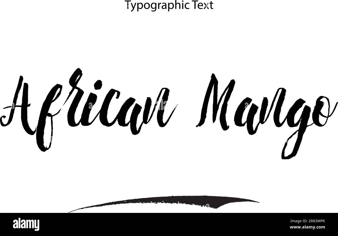 Elegant Typography Lettering Text Vector Design Quote Stock Vector ...