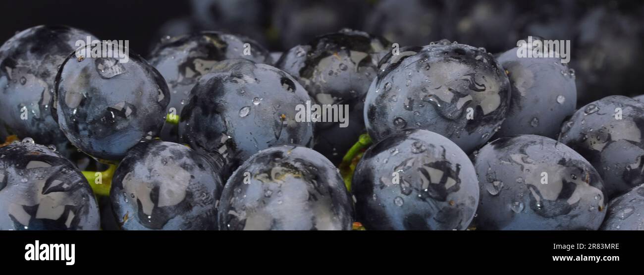 Grape texture hi-res stock photography and images - Alamy