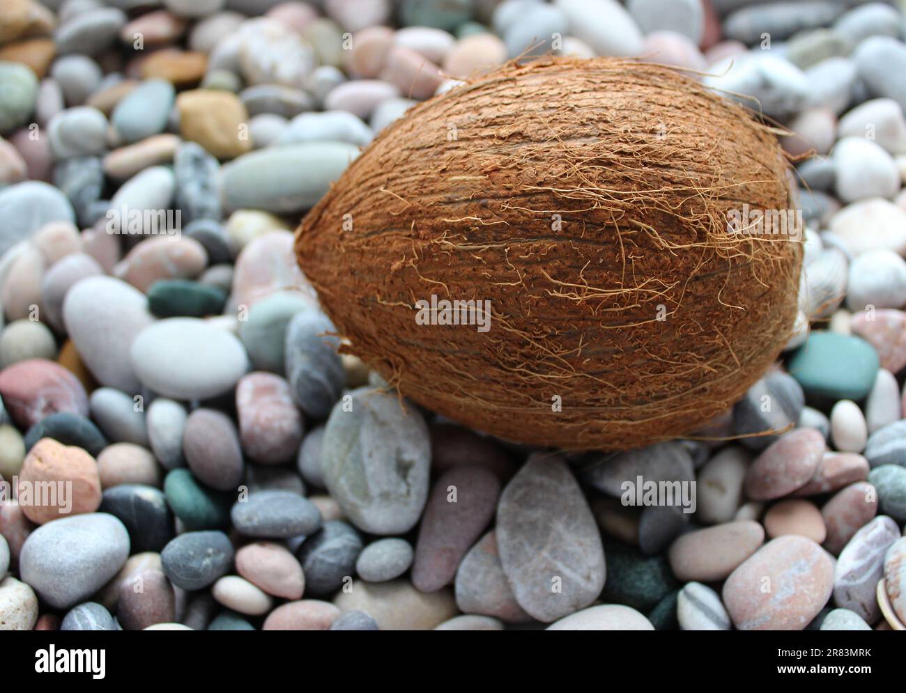 Coconut wallpaper hi-res stock photography and images - Alamy