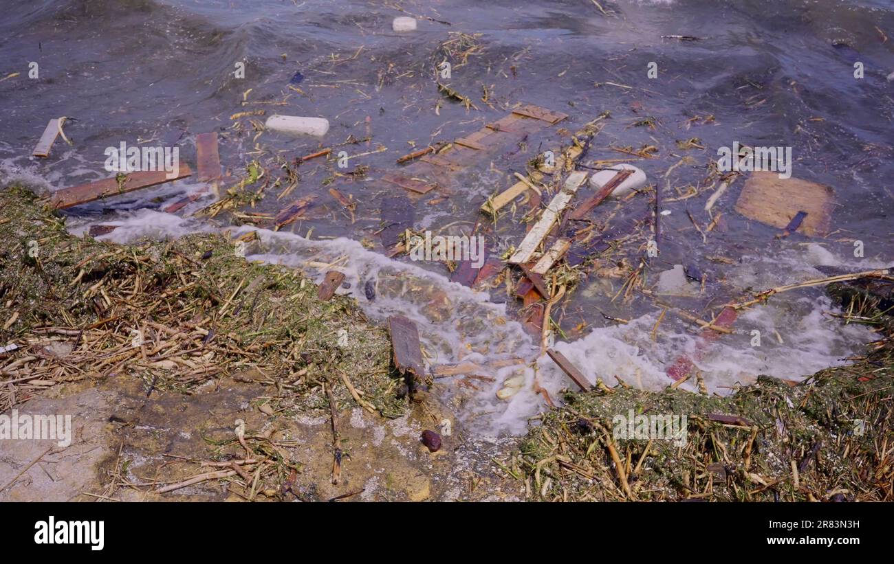 Close-up of floating debris has reached Black Sea beaches in Odessa ...