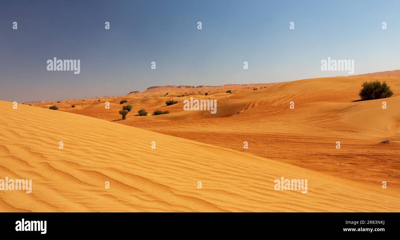 Arabian desert asia hi-res stock photography and images - Alamy
