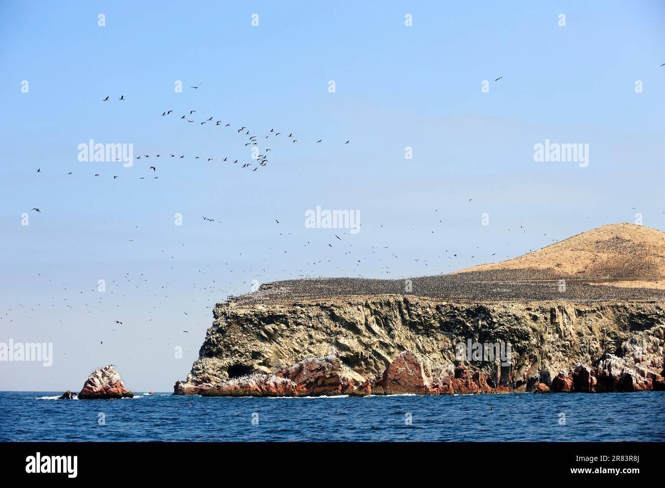 Coast, bird colony, marine reserve, Ballestas Islands, Paracas Bay ...
