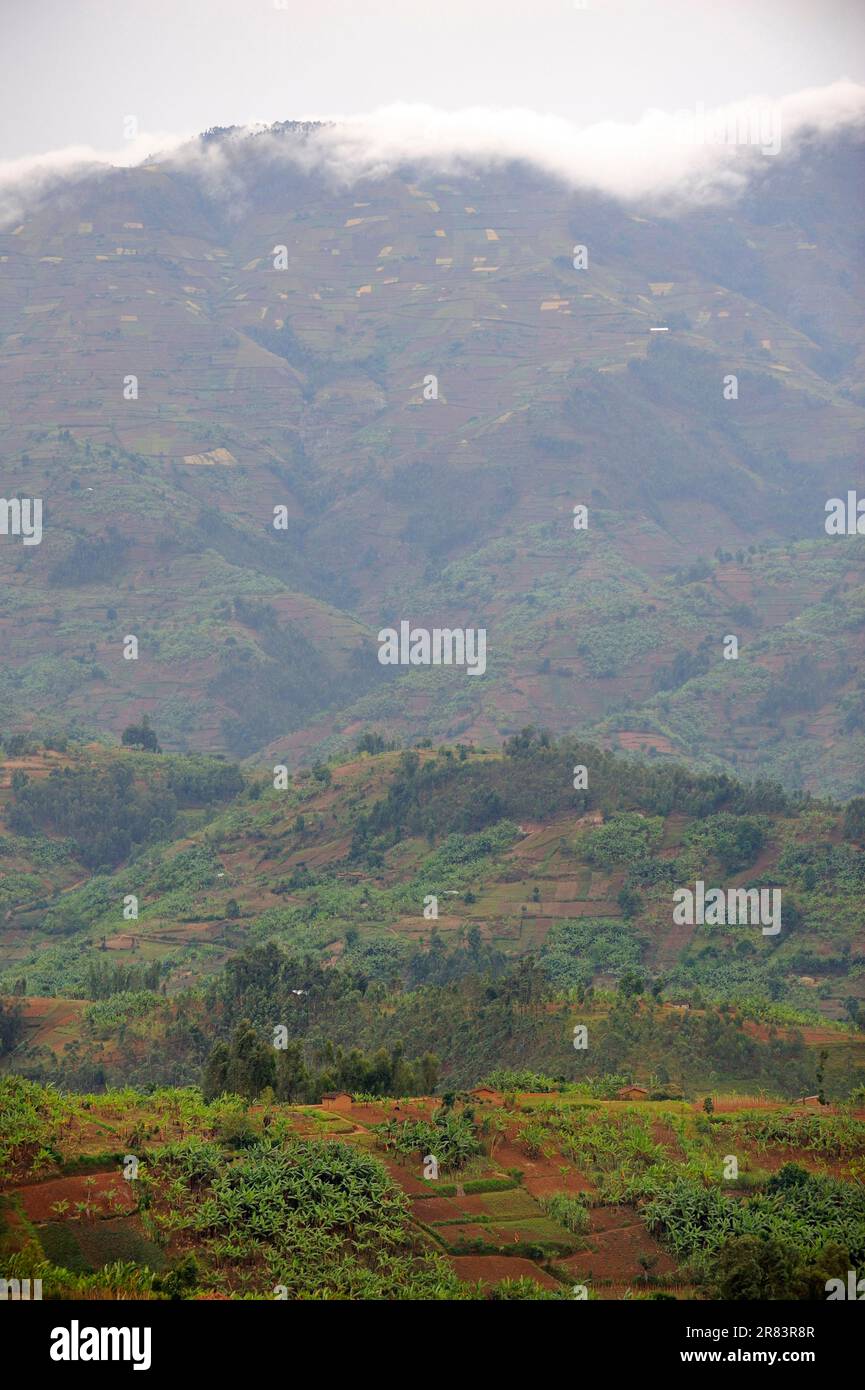 Rwanda landscape hi-res stock photography and images - Alamy