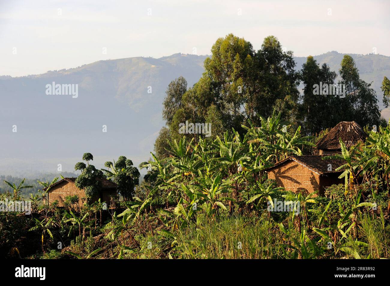 Traditional houses on mountainside, Volcano National Park, Rwanda Stock ...