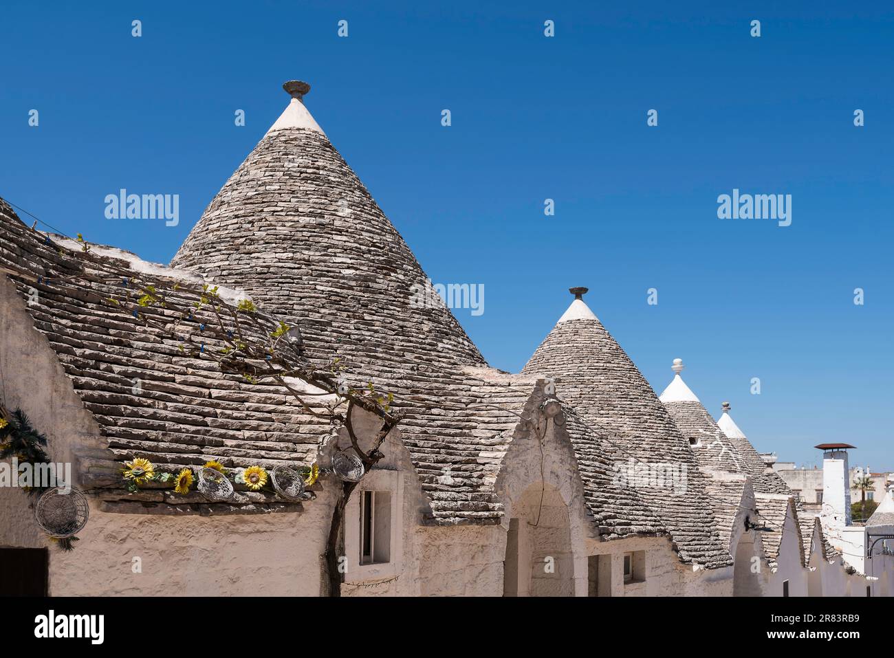 Scenic view of trulli whitewashed huts with conical roofs in ...