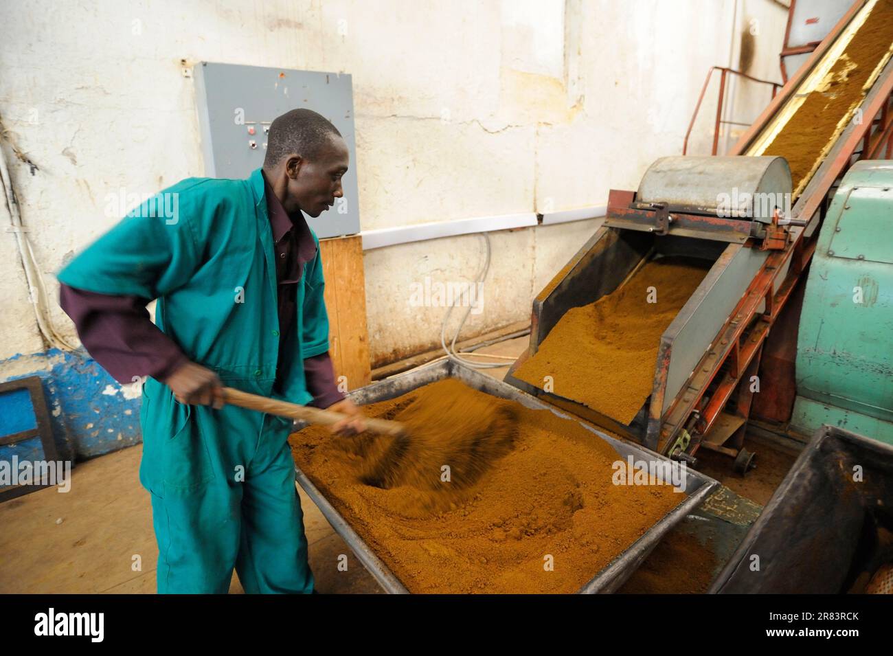 Workers in tea factory, Nyungwe, Rwanda Stock Photo - Alamy