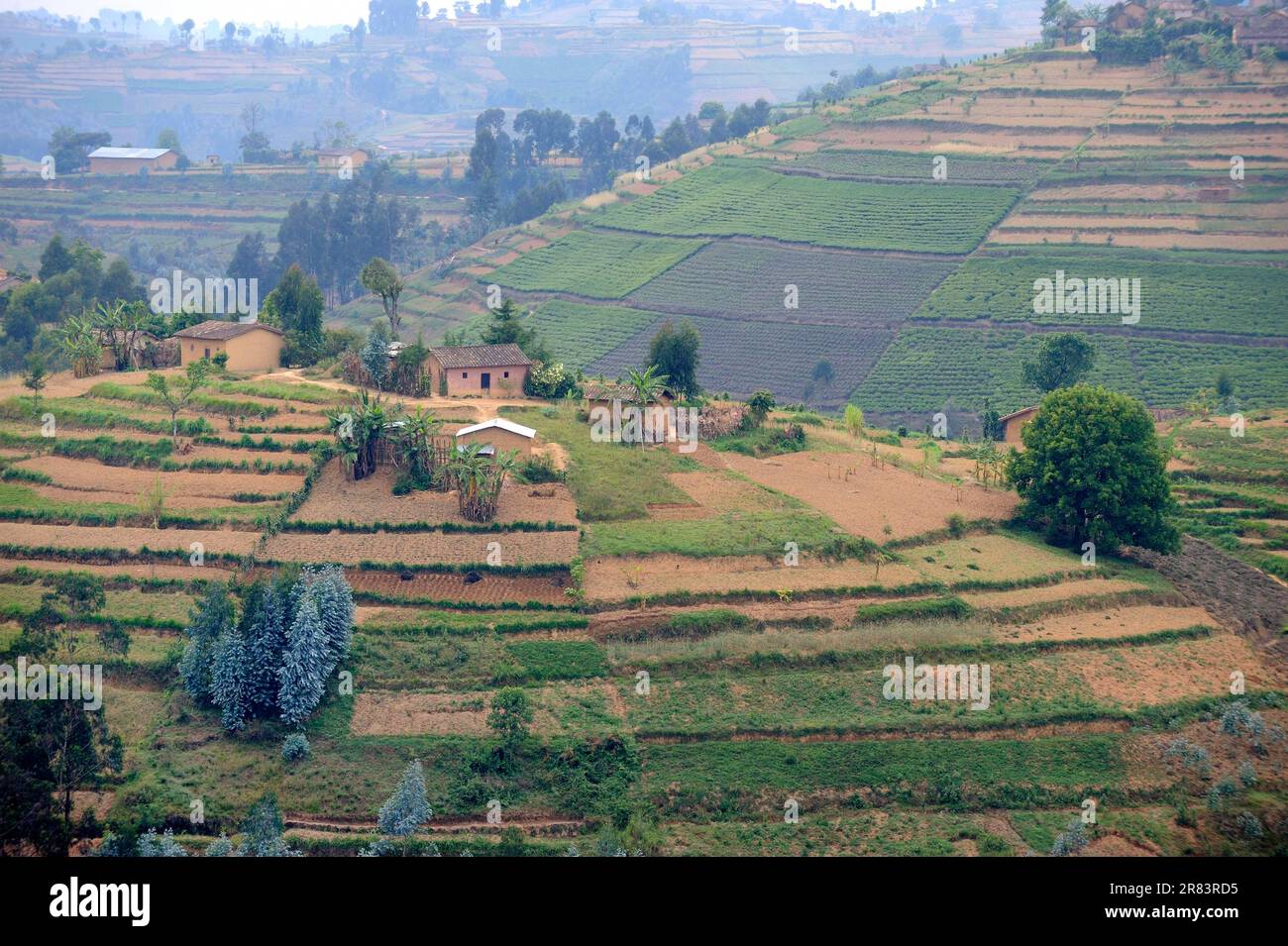 Rwanda hills hi-res stock photography and images - Alamy