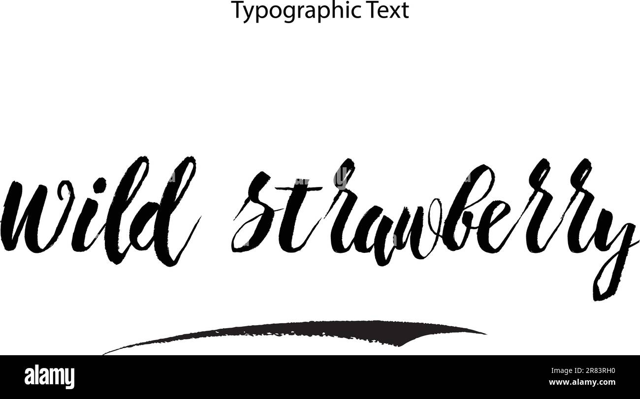 Elegant Typography Lettering Text Vector Design Quote Stock Vector ...