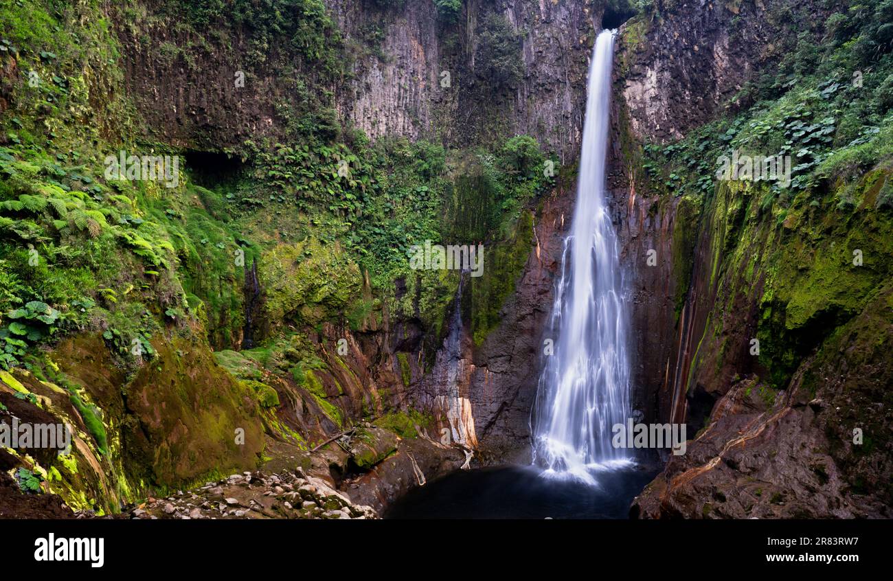 Waterfall river water forest hi-res stock photography and images - Alamy