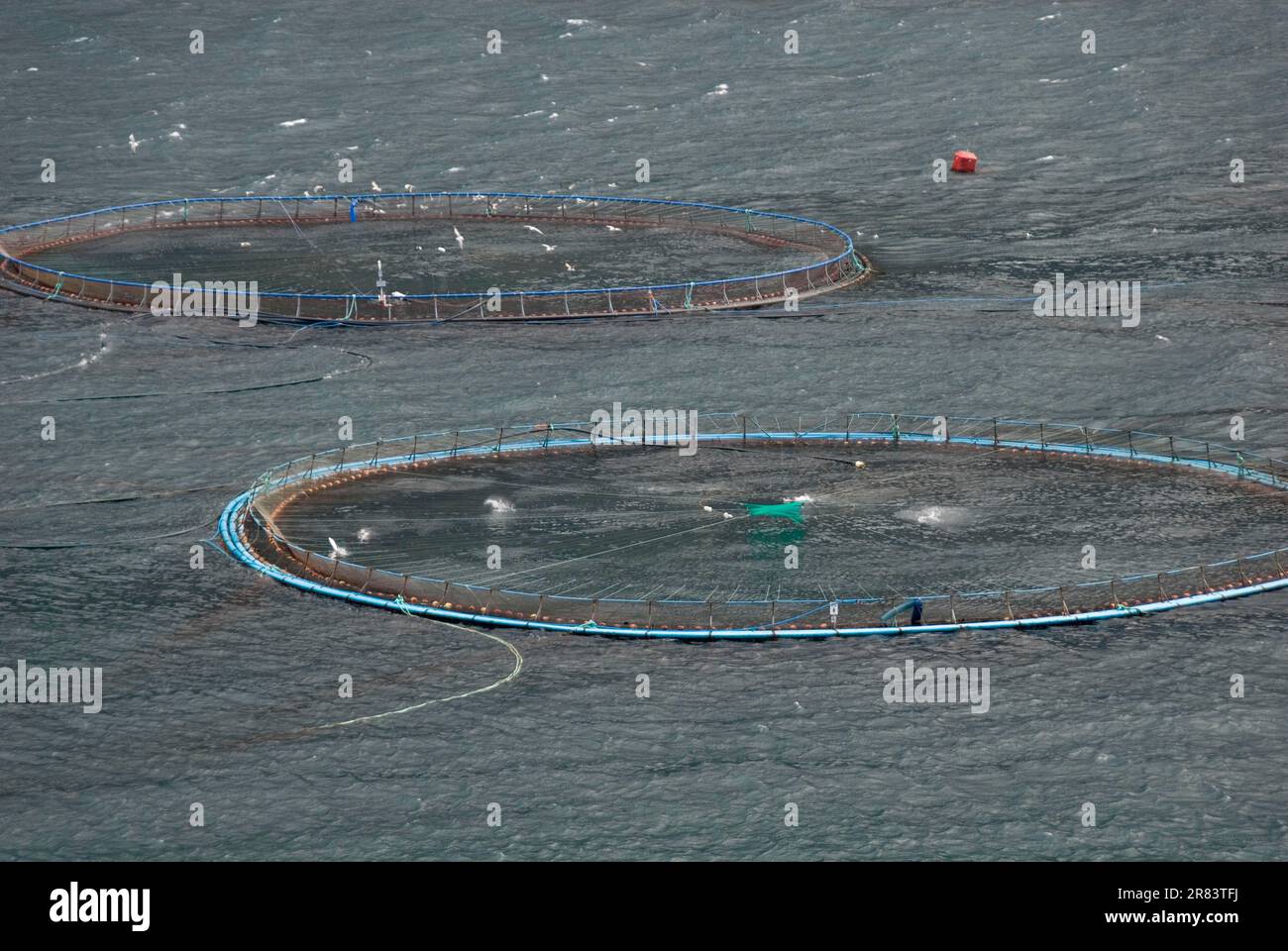 Fish farm, fish enclosure, Vidoy Island, Faroe Islands, Denmark Stock ...
