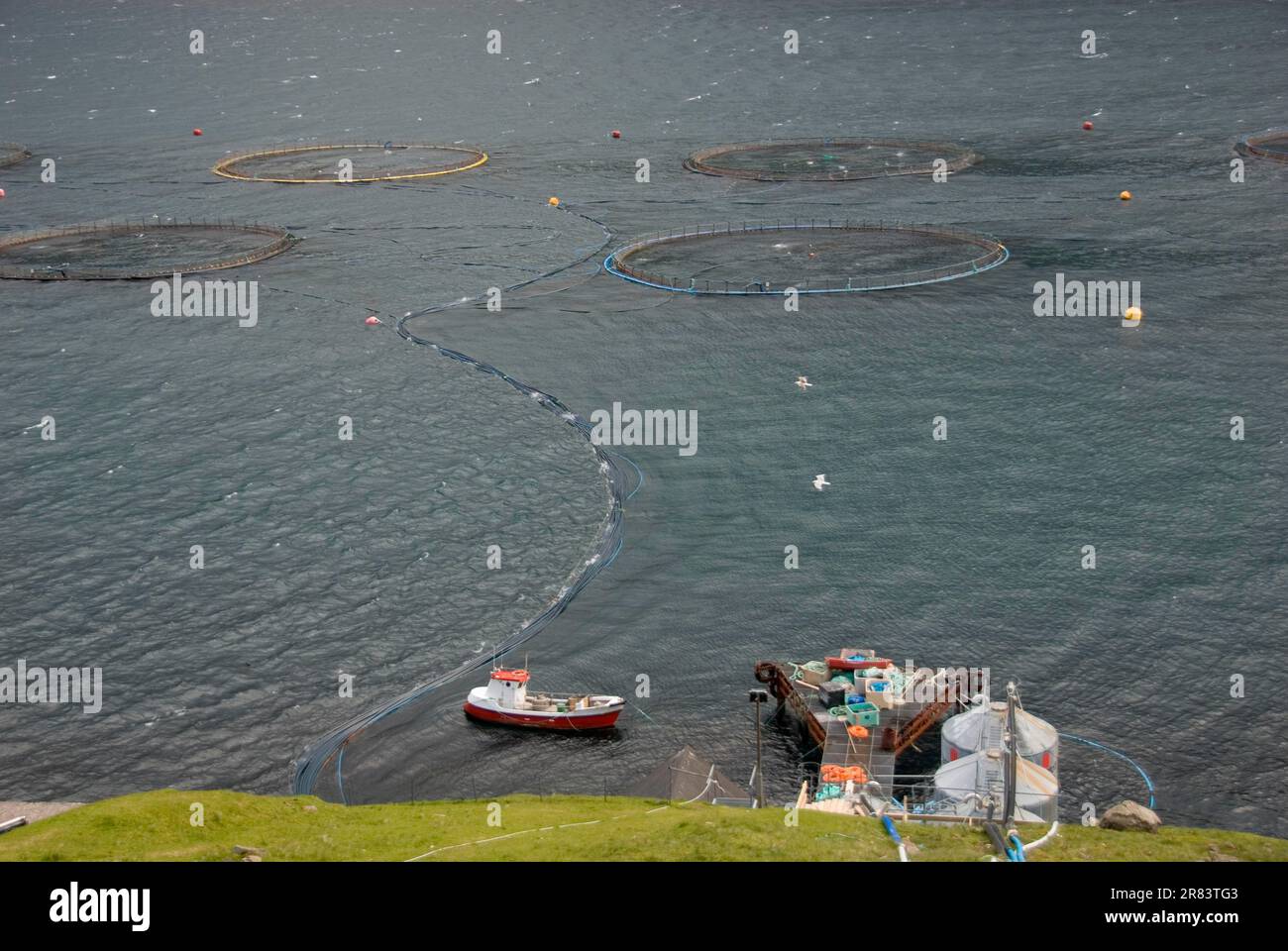 Fish farm, Fish farm, Vidoy Island, Faroe Islands, Denmark Stock Photo ...