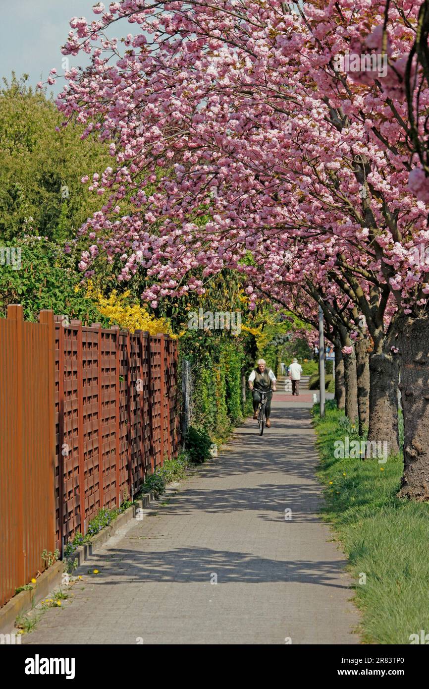 Aschaffenburger strasse hi-res stock photography and images - Alamy