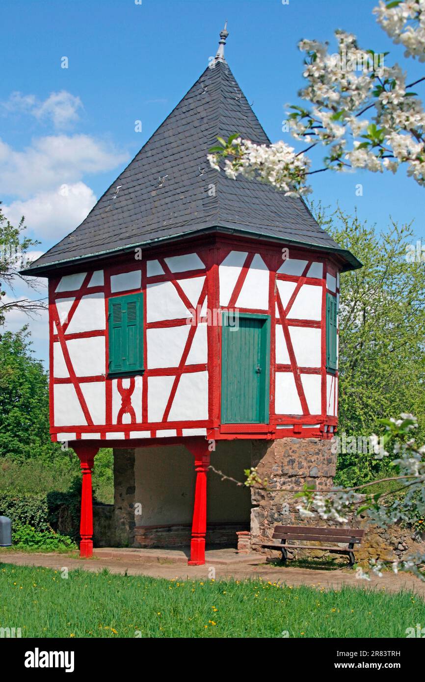Half-timbered house on stilts, herb garden of Steinheim Castle ...