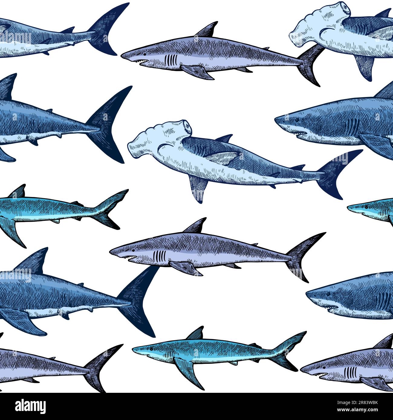 Seamless pattern with various sharks, great white shark, hammerhead ...