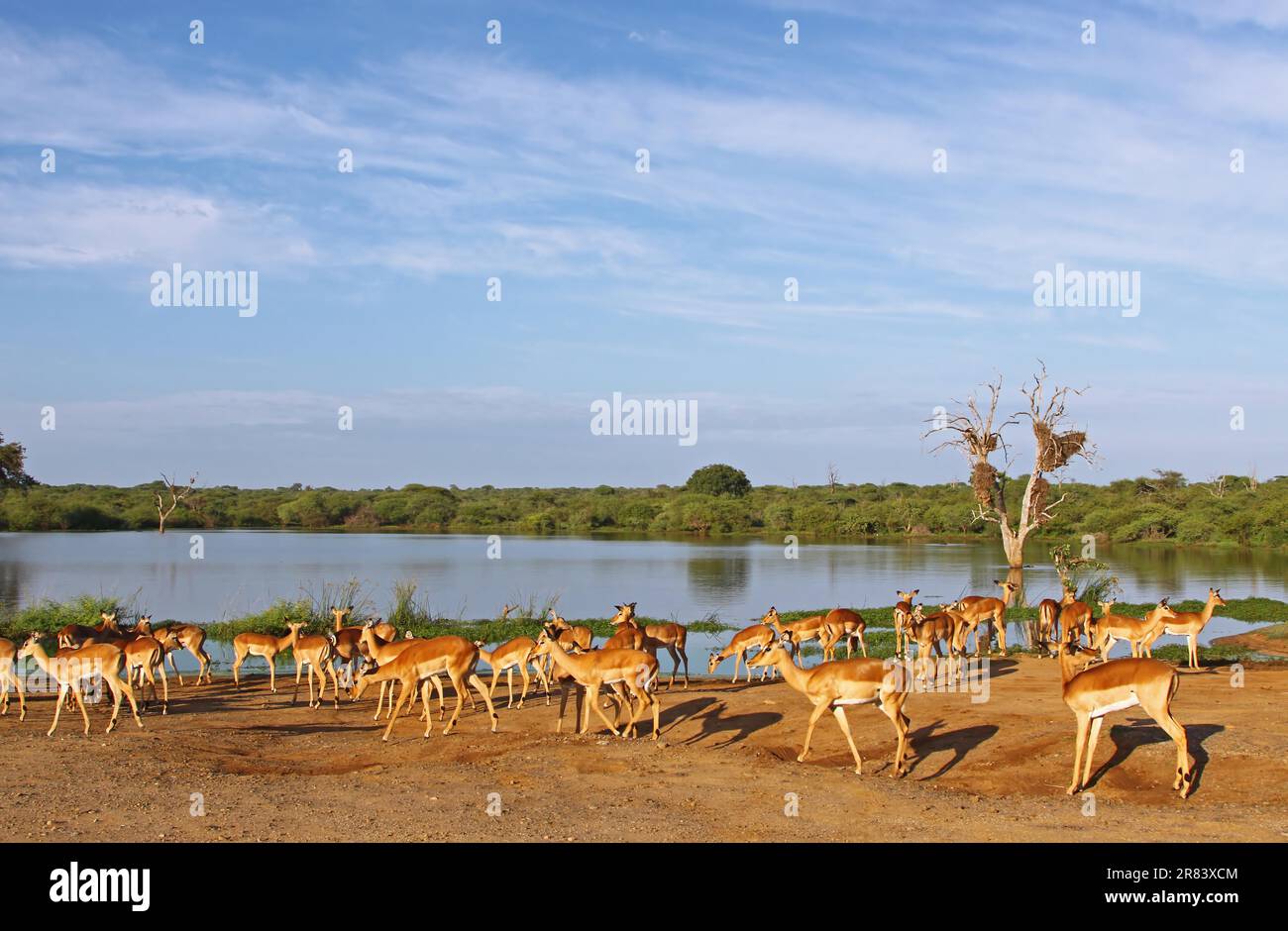 Dam grassland hi-res stock photography and images - Alamy
